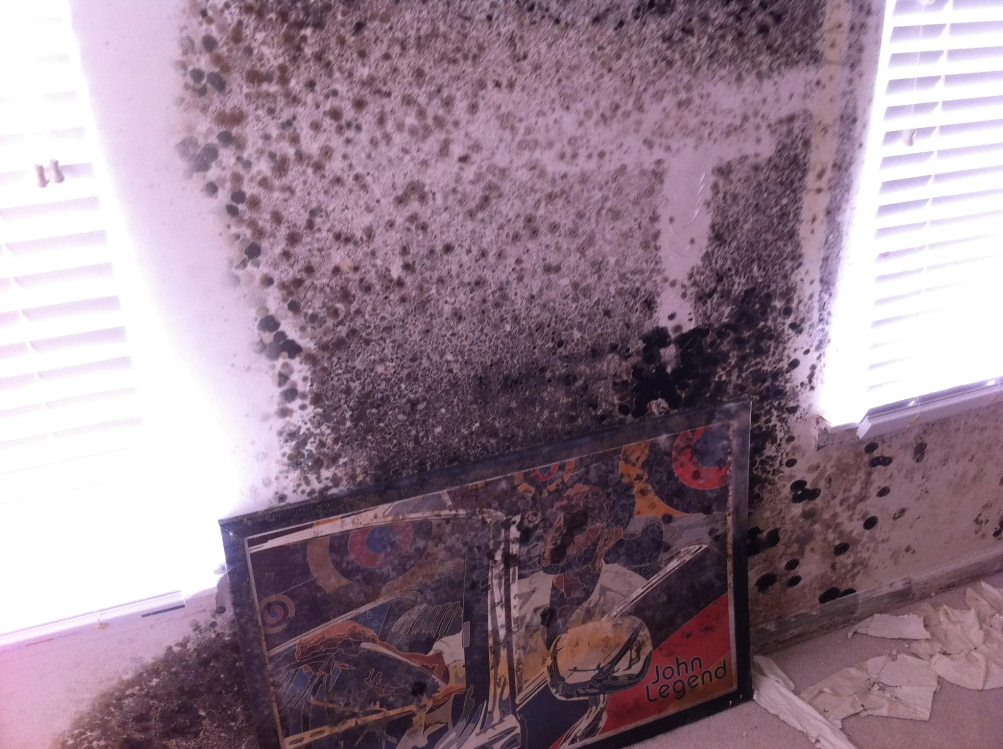 Indiana Mold Remediation - Mold Inspection, Testing, Removal