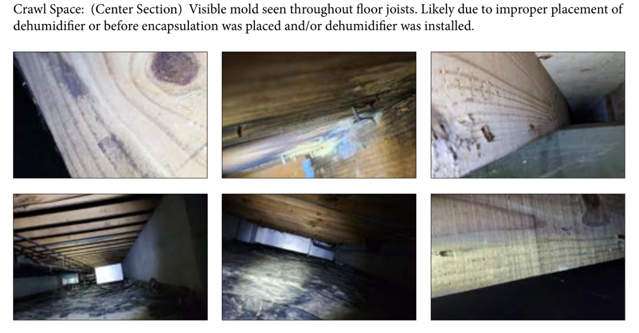 Is This Mold in a Zionsville Crawl Space? - Indiana Mold Remediation